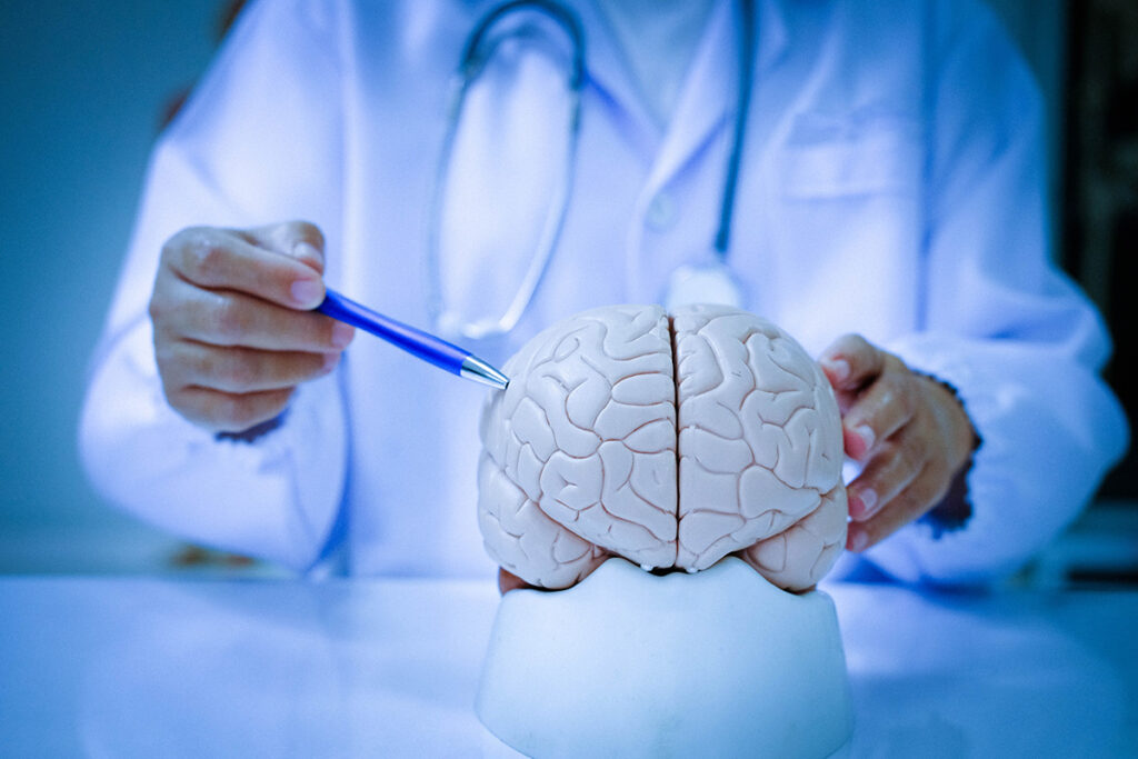 What Does Anandamide Do to the Brain?